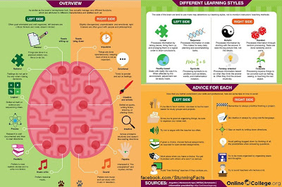 LEFT AND RIGHT BRAIN OVERVIEW - Stunning Interesting Facts