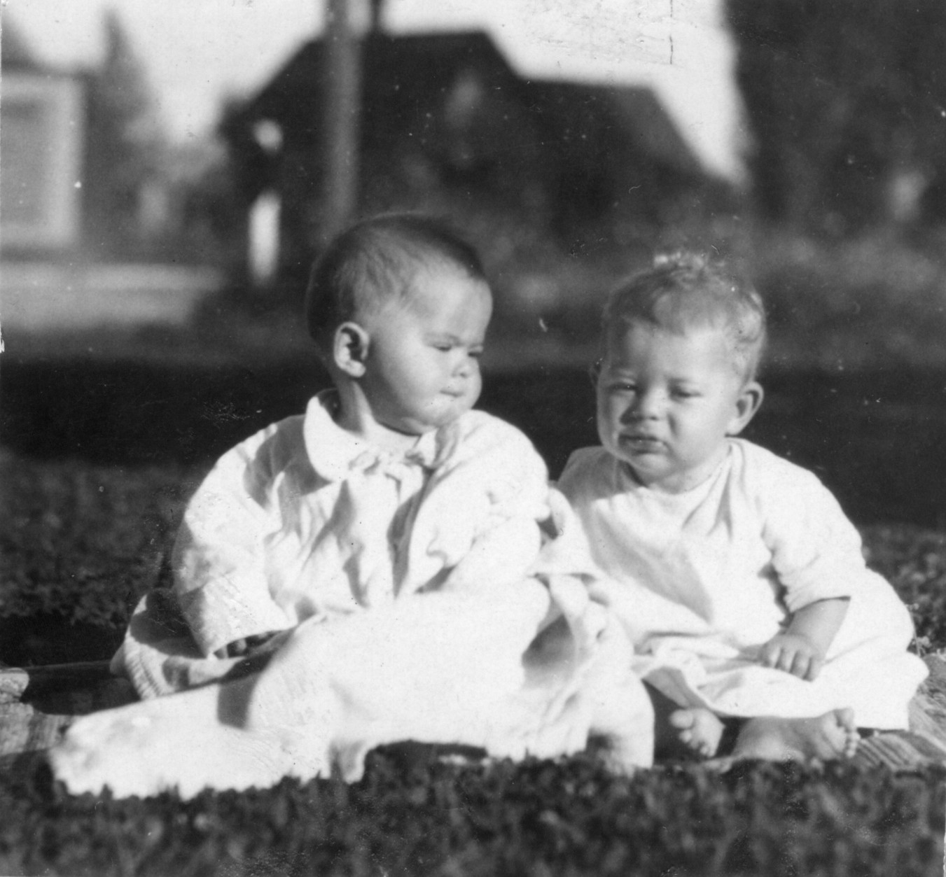 The Foy Family Gone Before: The Original Foy Cousins: Grandchildren of ...