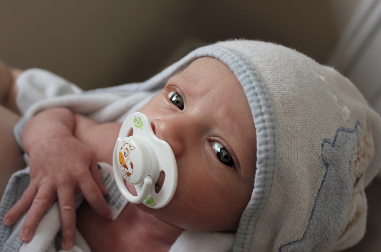 The Cudger Chronicles: Baby Eyes