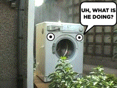 Chuck's Fun Page 2: Washing machine - meet brick