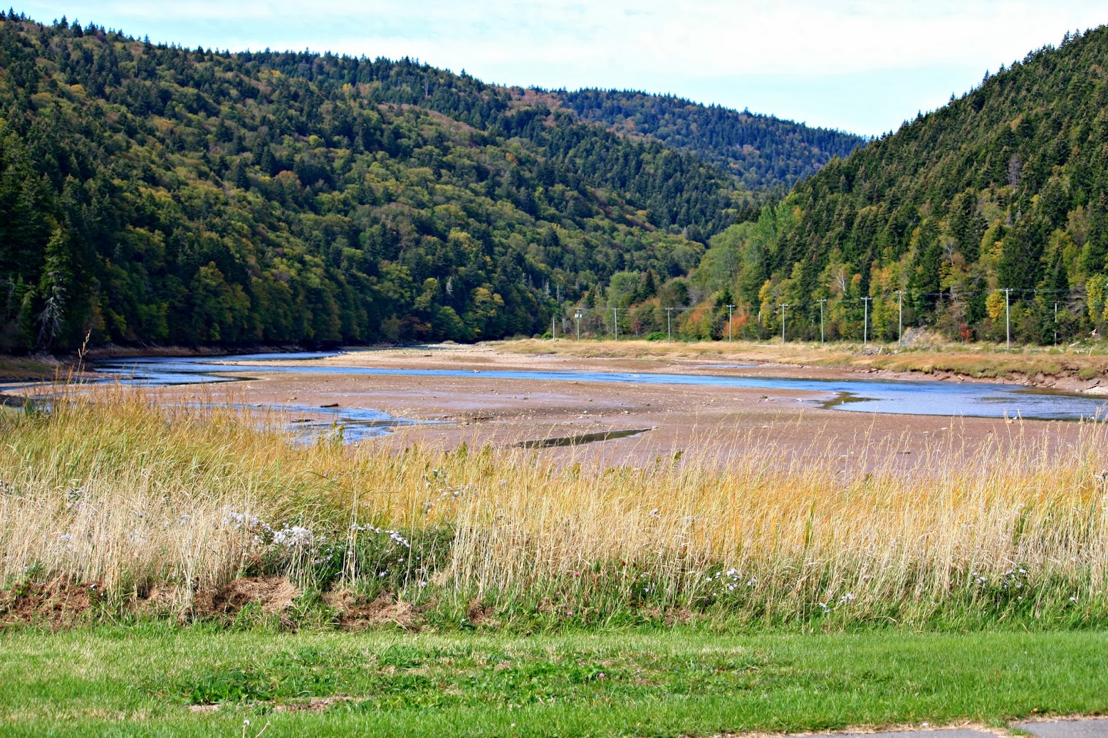 Carol Steel: Molly Kool Centre Inc.