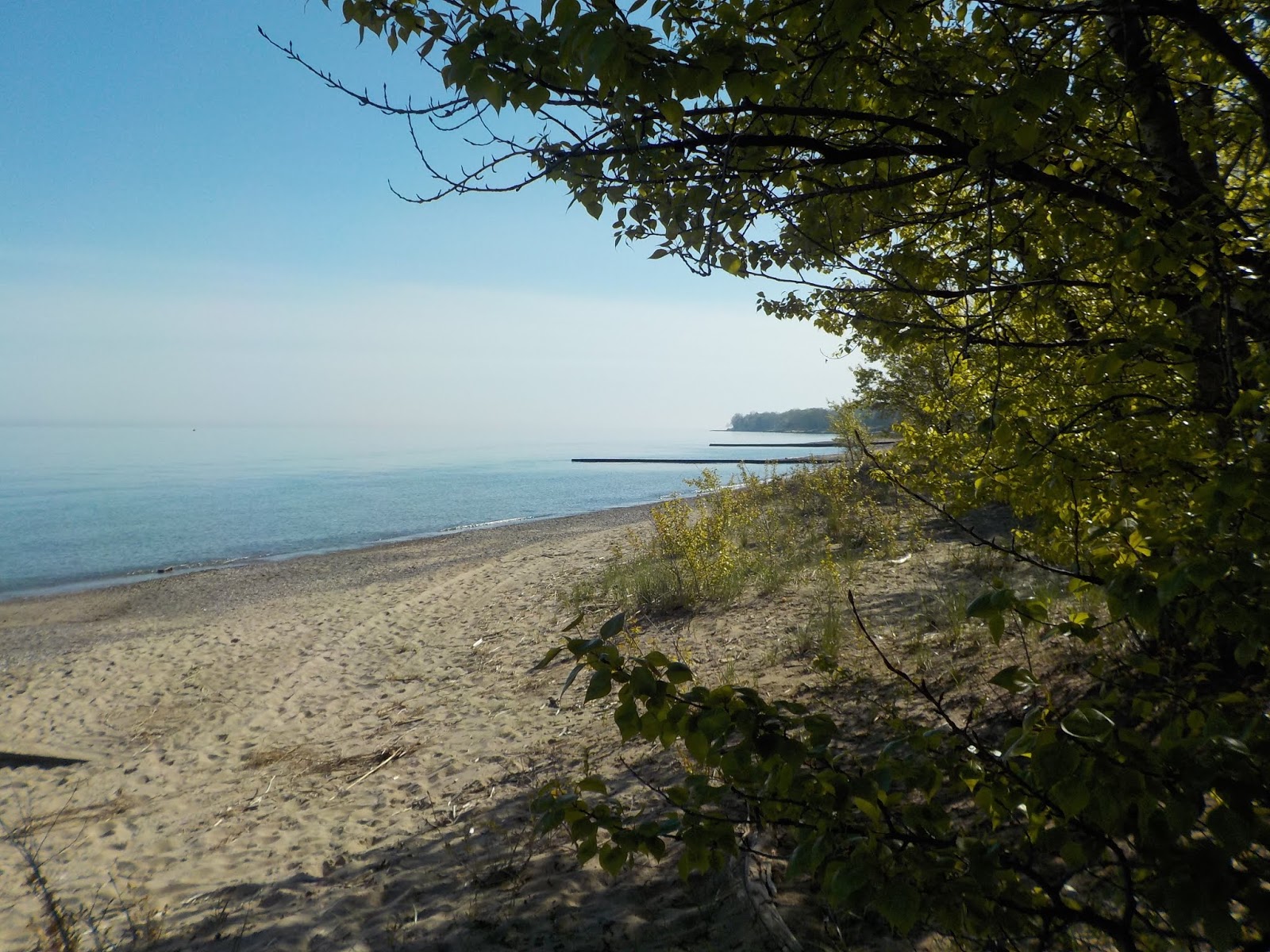 Wit Ventures: Canatara Beach Earns One of Sarnia-Lambton Blue Flag ...