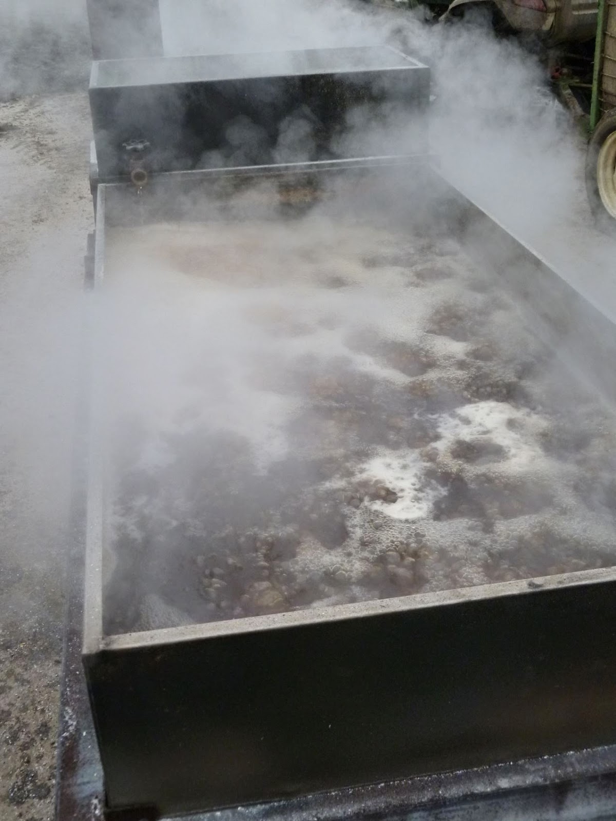 Three Things Very Dull Indeed: Central Illinois Maple Syrup