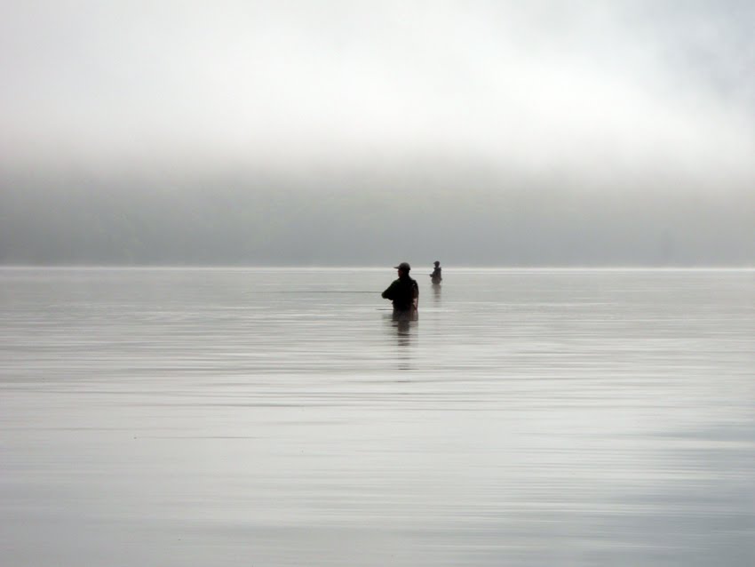 อาเมะมาสึ (Amemasu) ปลาปีศาจผู้กลืนกินทุกสรรพสิ่ง | อมรณา สารานุกรมแห่ง ...