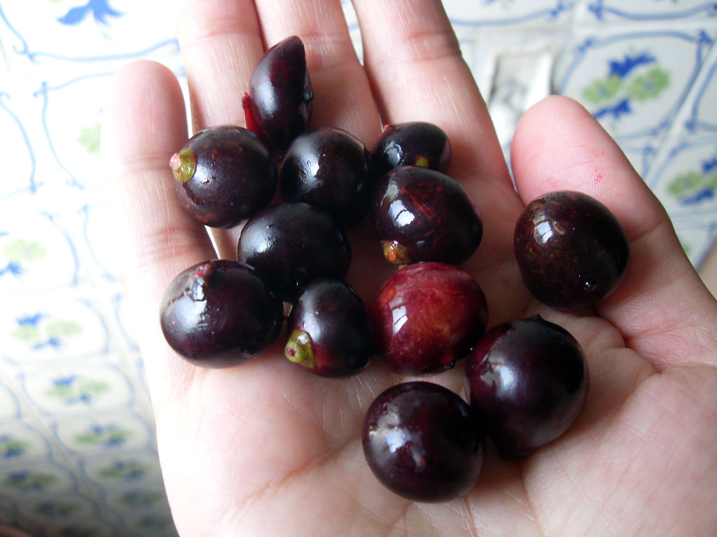 De Asia a Latinoamerica: mayo 2011