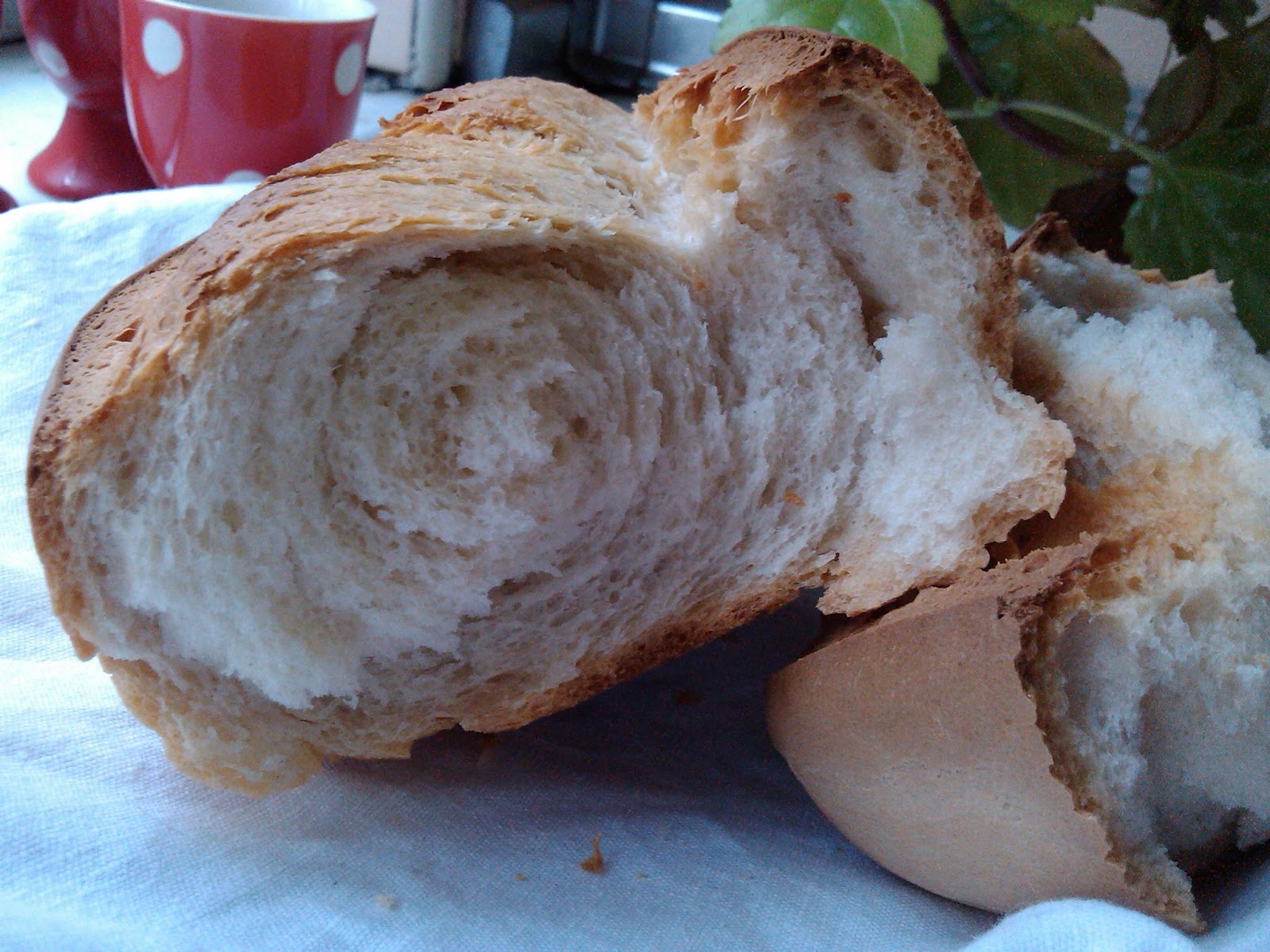 bien! se ve el remolino de la miga por el enrollado (en el corte a mano)