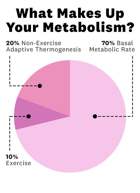 Metabolic Rate