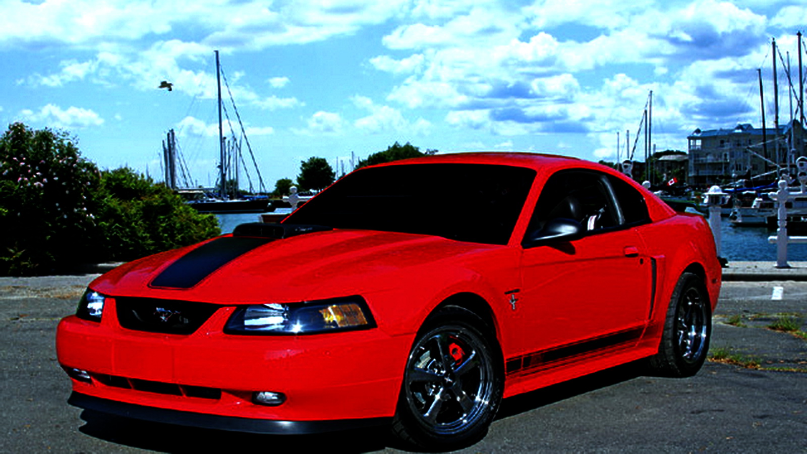 Fastest Ford Mustangs Part 3 : 2003 Mustang Mach 1