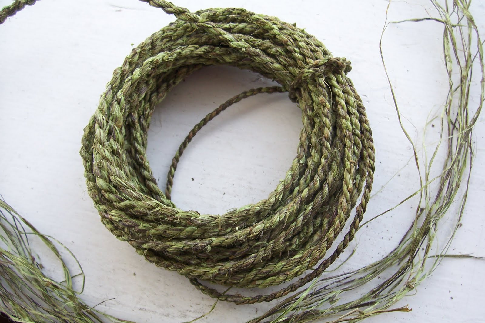 BUZZARD BUSHCRAFT: Zen and the art of Cordage Construction