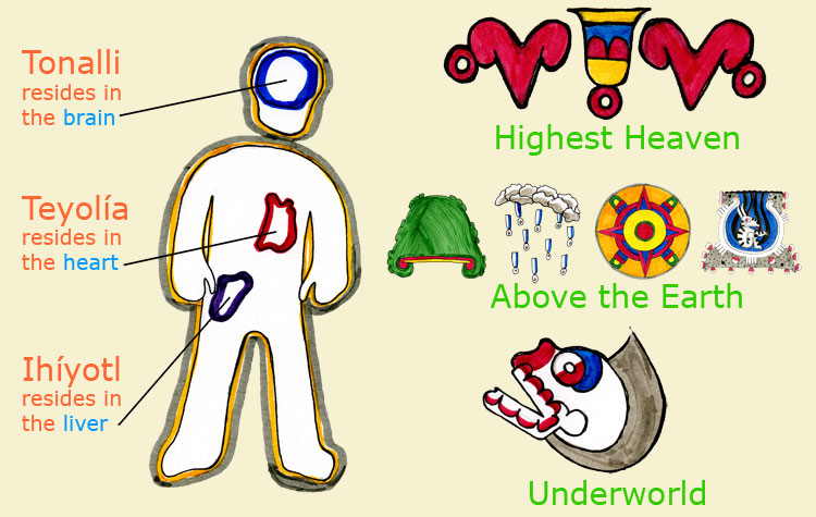 Las tres almas del humano: TONALLI, TEYOLIA e IHIYOTL | Silvano Leonardo