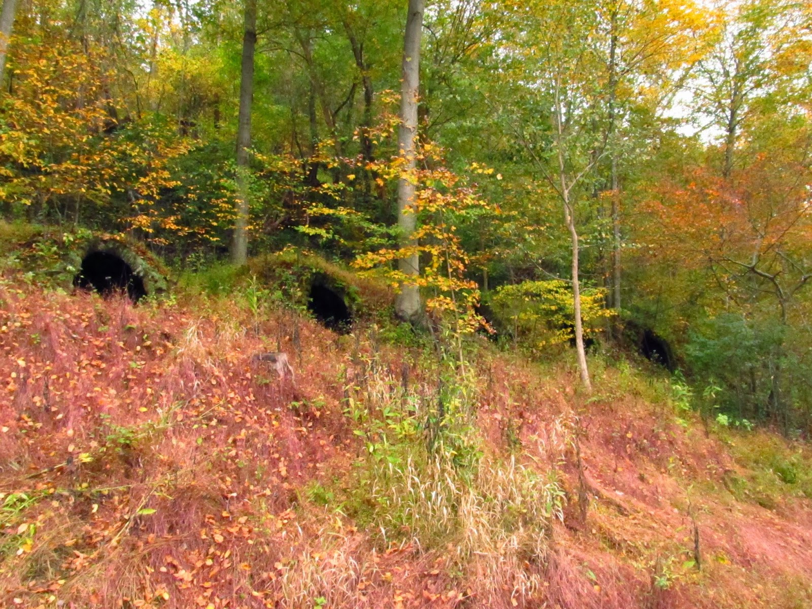 Old Industry of Southwestern Pennsylvania : Kelly Station, PA/Provident ...