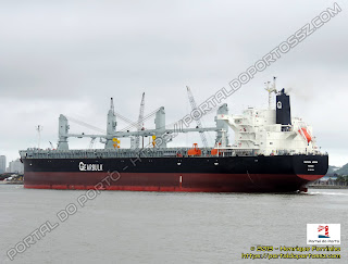 Maitaca Arrow - Portal do Porto