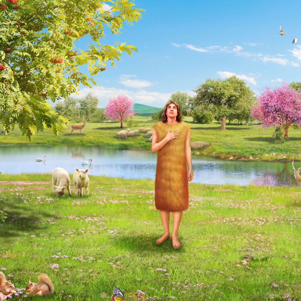Gods Woorden Ons Dagelijks Brood Dagelijks Evangelie Genesis 2 gods-woorden-ons-dagelijks-brood-dagelijks-evangelie-genesis-2