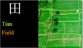 每日中文 Daily Zhongwen: Tián 田[Field] —— 字&词