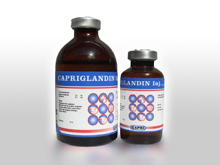 Sehat Fauna: Biosolamine