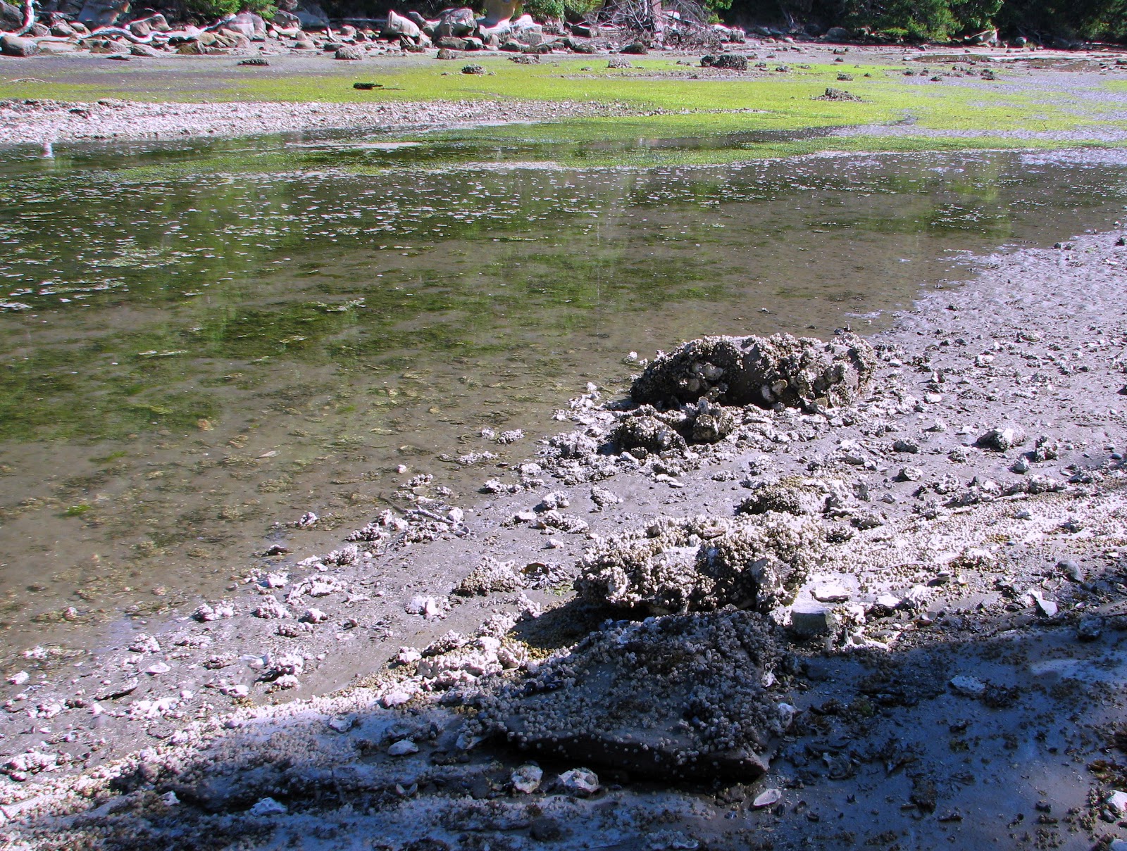 Everything Nanaimo: DESCANSO BAY PROVINCIAL PARK