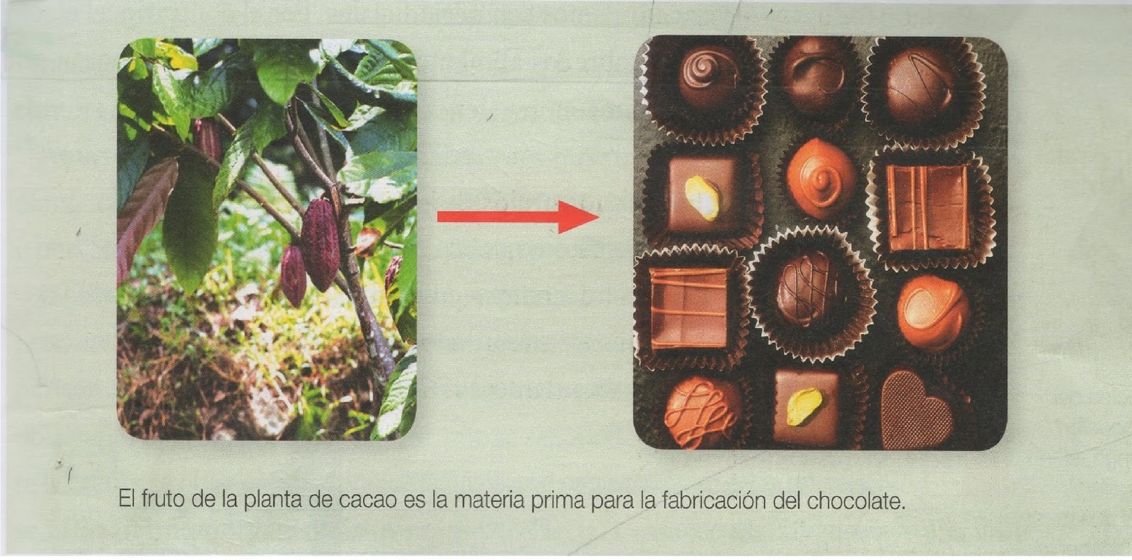 Los biomateriales: alimentos elaborados y naturales;Panes industriales ...