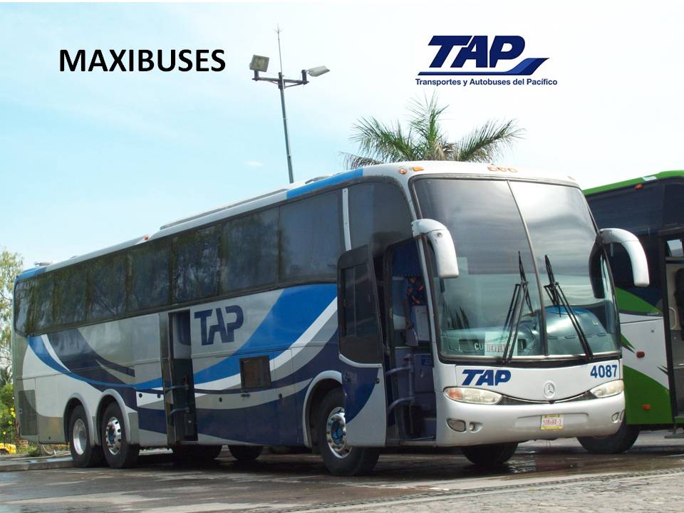 MAXIBUSES: TRANSPORTES Y AUTOBUSES DEL PACÍFICO (TAP)