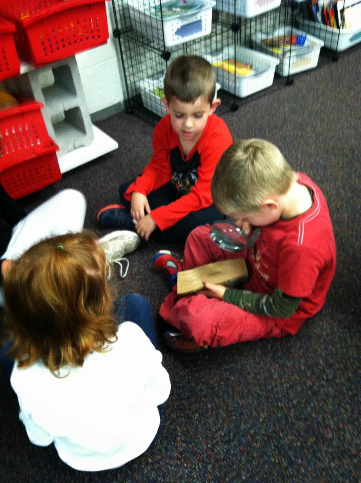 Mrs. Kurt's All Star Kindergarten Blog: Trees