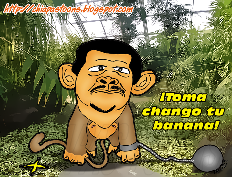 Chiapas Toons: Pobre Changuito