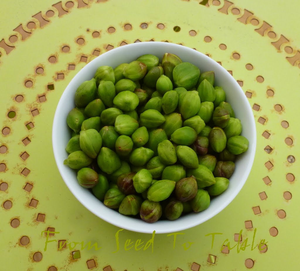 From Seed To Table: The Caper Caper Resumes