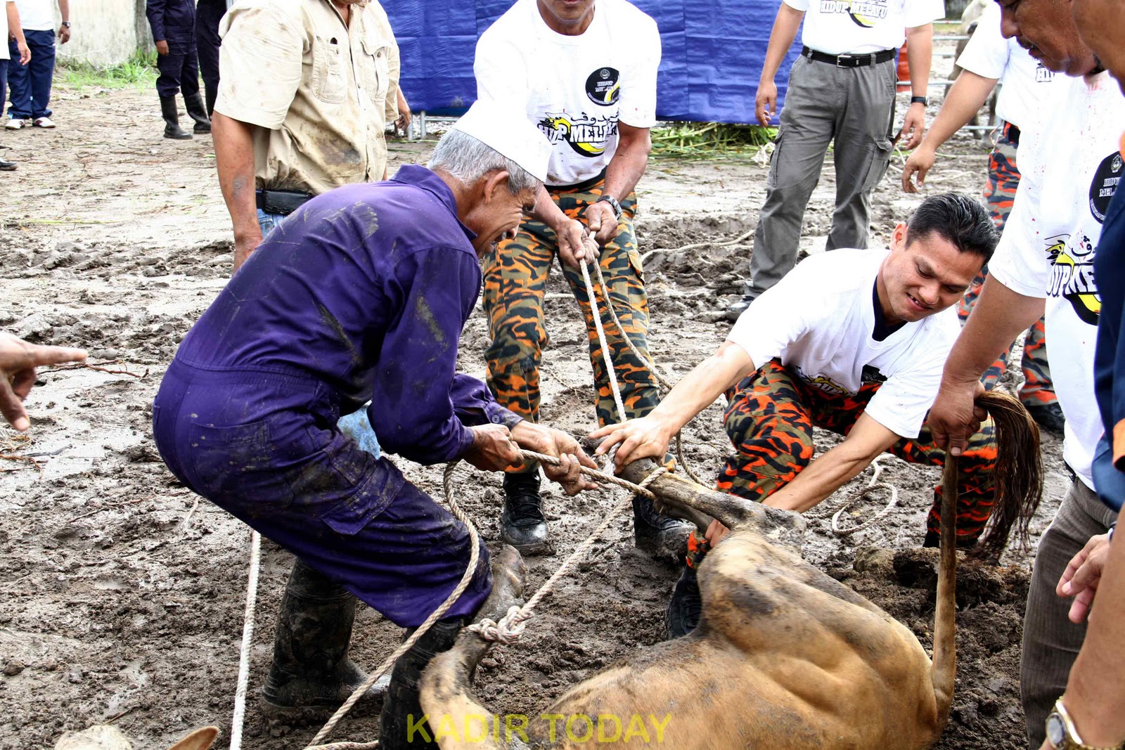 KADIR TODAY: Majlis Qurban Perdana