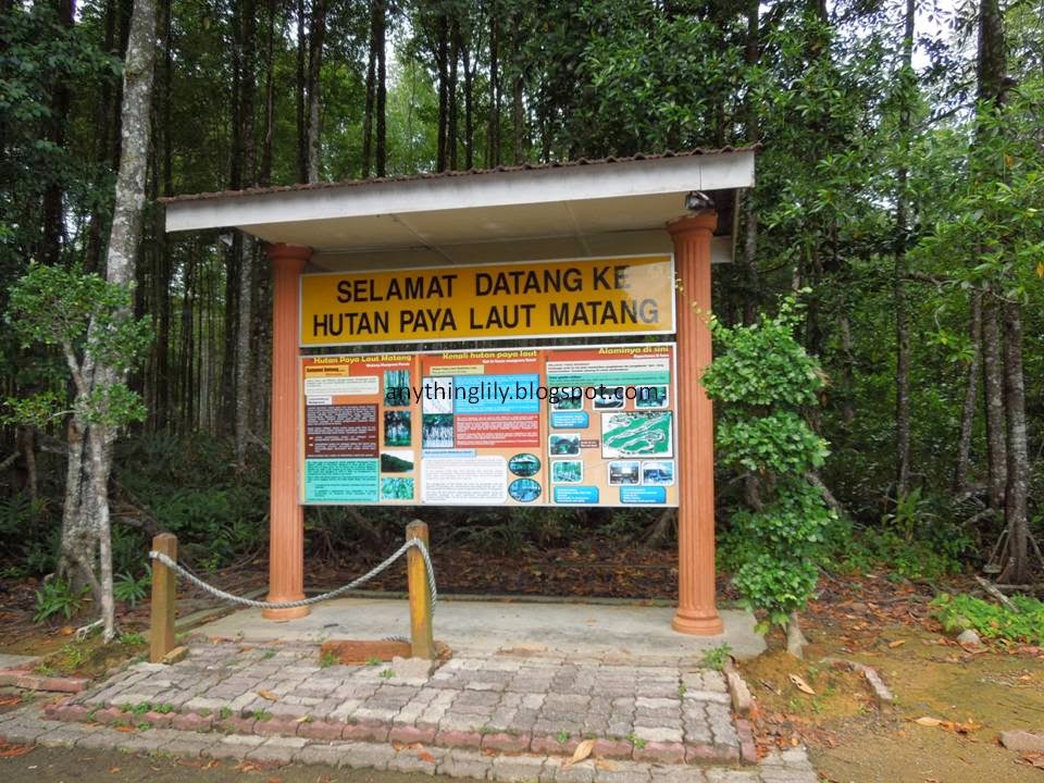 anythinglily: My Taiping Trip Part 6: Things To Do In Kuala Sepetang