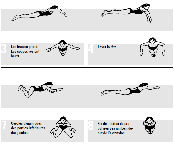 Brasse, le style de nage le plus connu