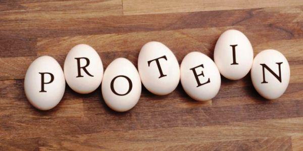 20 Makanan Berprotein Tinggi Terbaik | Medkes