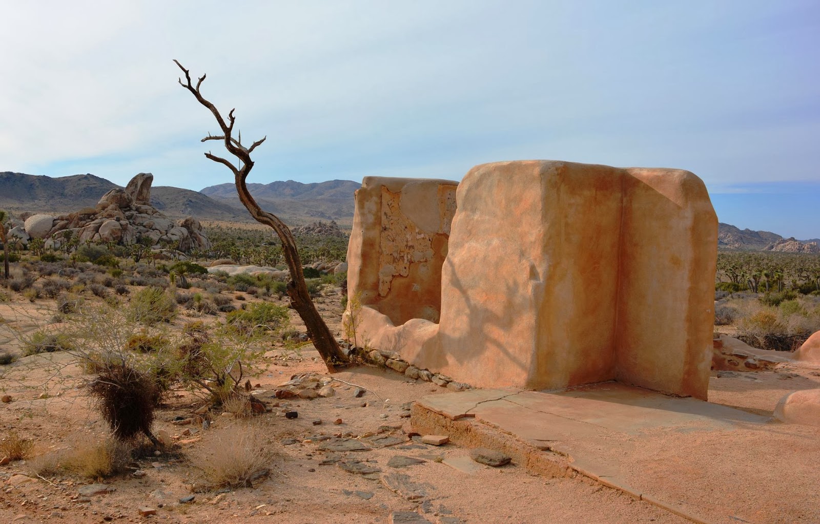 Patrick Tillett: Ryan Ranch - Joshua Tree National Park