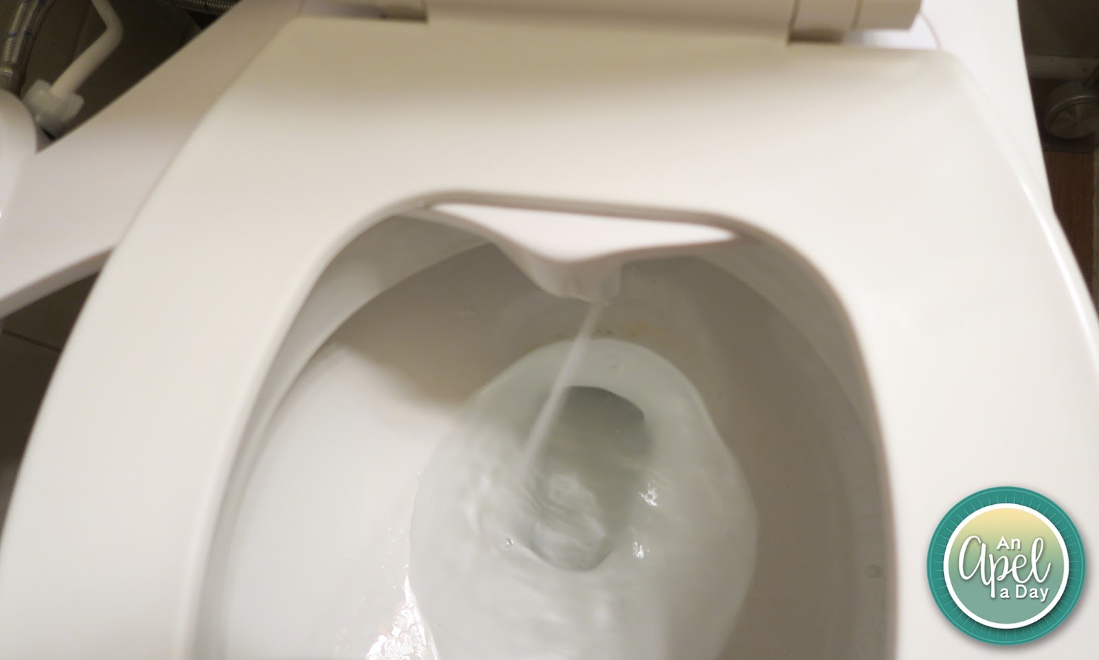 An Apel a Day: Superior Bidet Review