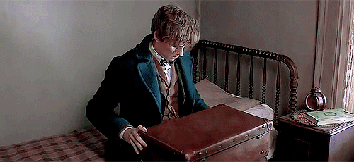 Reseña Animales fantásticos y dónde encontrarlos [J. K. Rowling bajo el ...