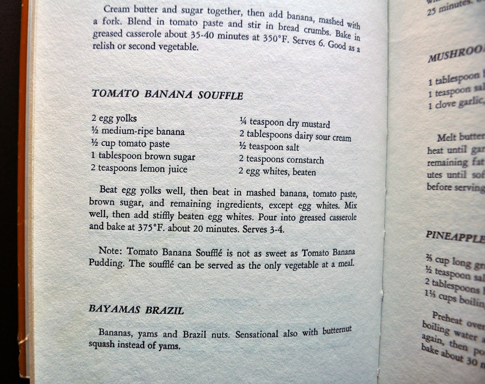 Cooking up a storm: The Worst Cookbook Ever - Utterly Hilarious!