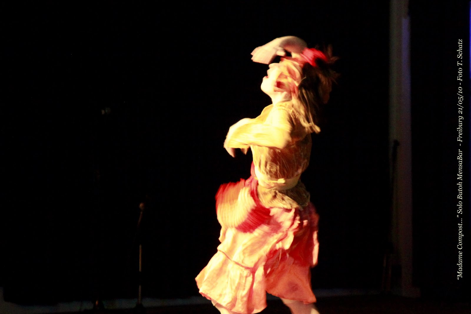 Butoh-Tanz mit Lucie Betz: Mai 2010 Konnichiwa - Willkommen in Japan ...