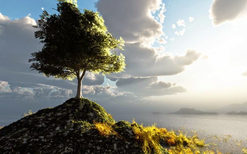 Katherine's Dance Word: #75: Rocking the Rock Step Part 2 (Patterns!)