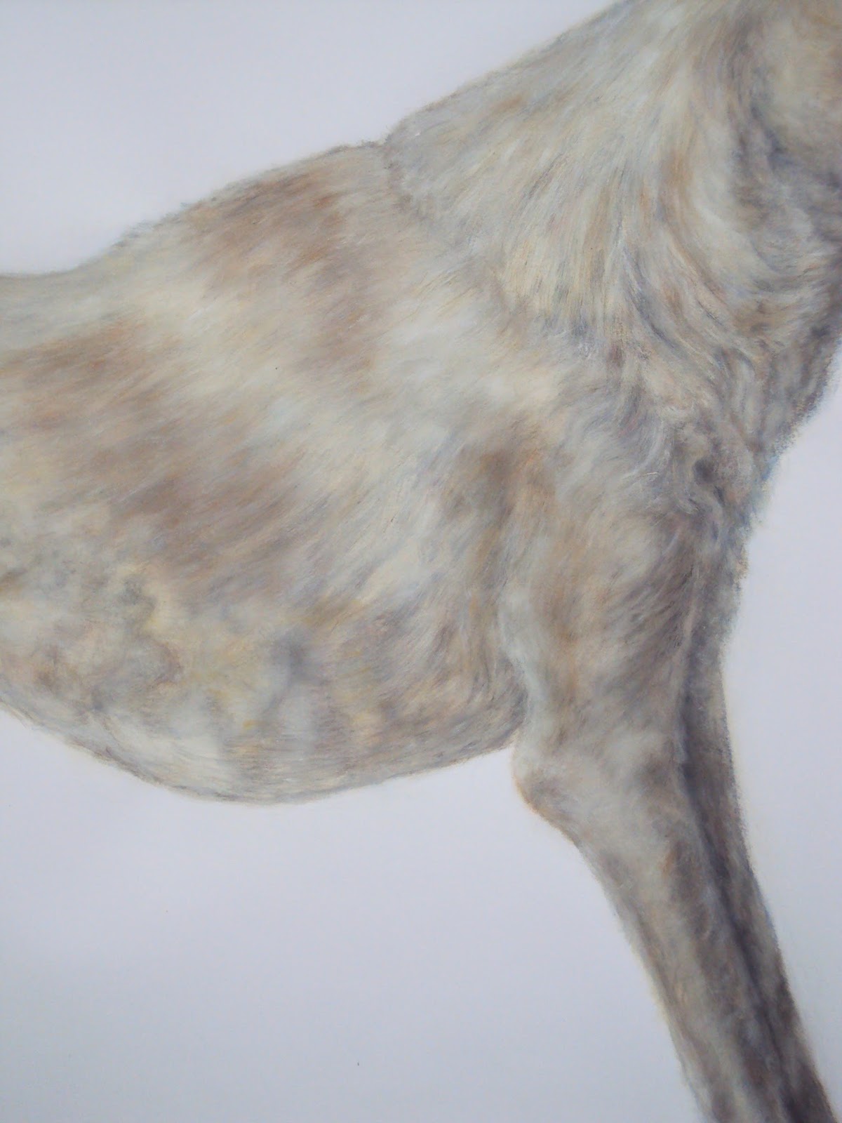 Ann-Marie Tully: Brak I