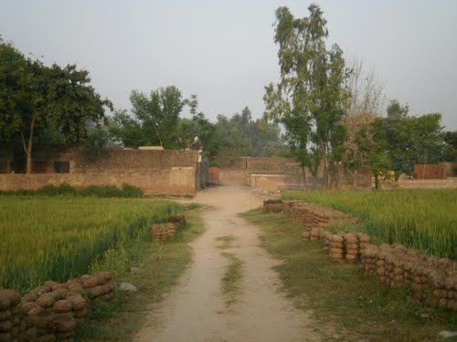 SULEHRI`S SECRETARIAT: ZAFARWAL,NAROWAL,PUNJAB,PAKISTAN