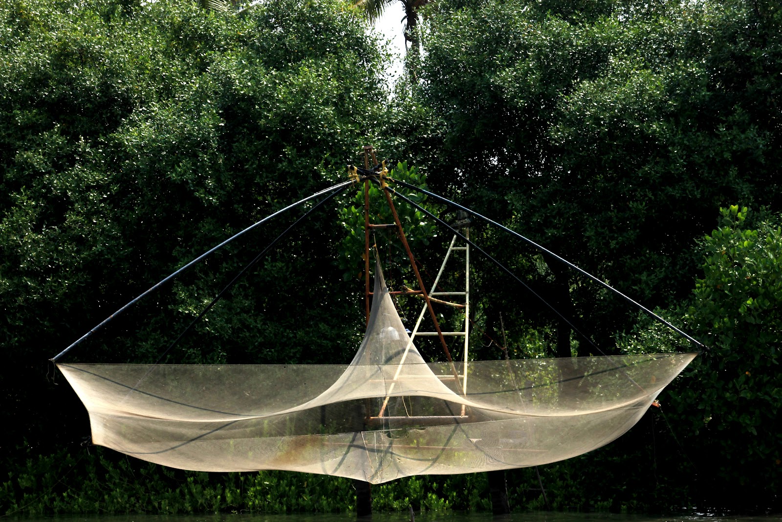 All Categories - lightsinternet