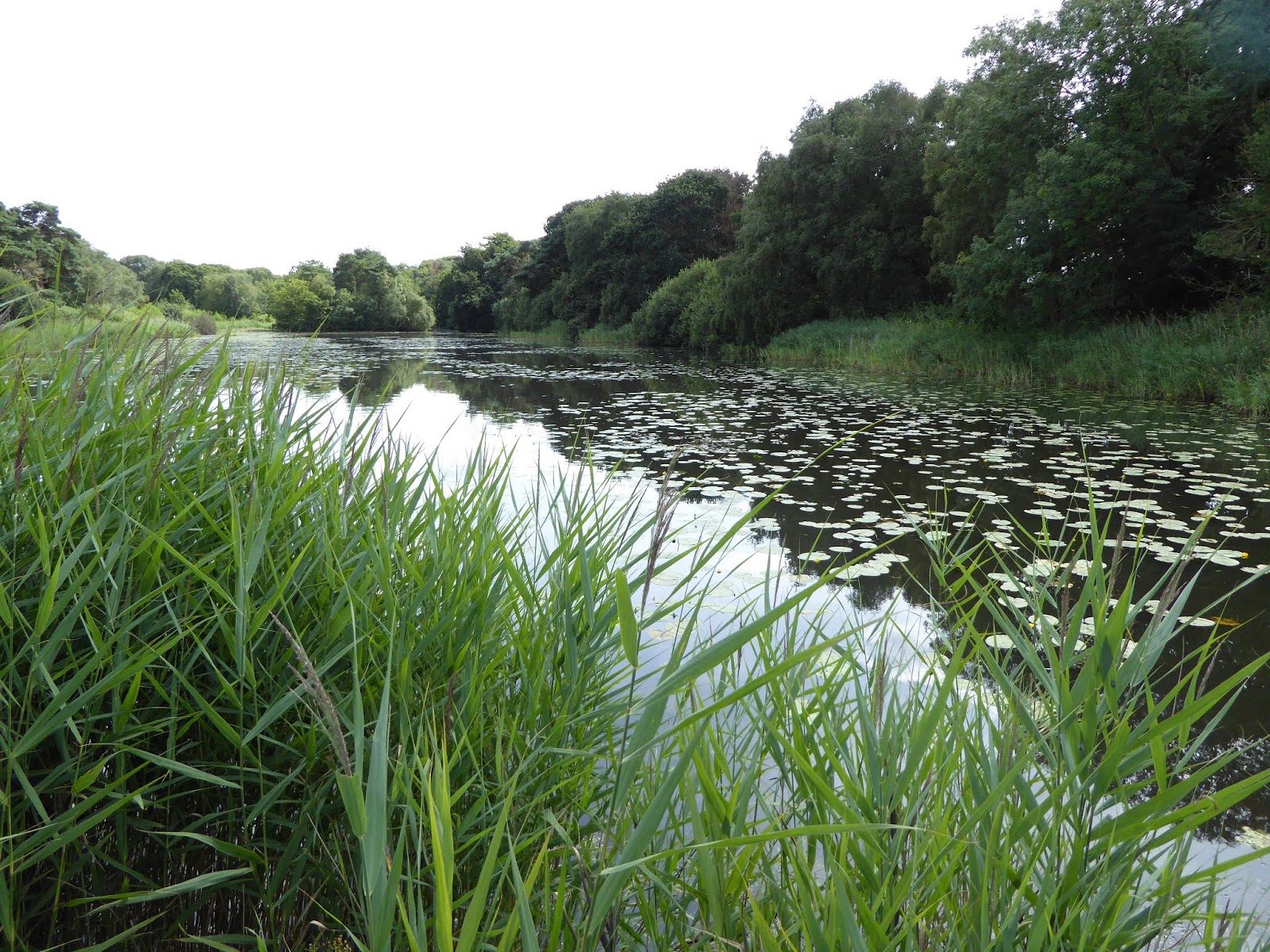 Wild and Wonderful: Lound Lakes, Southwold Beach and A Pair of Late ...
