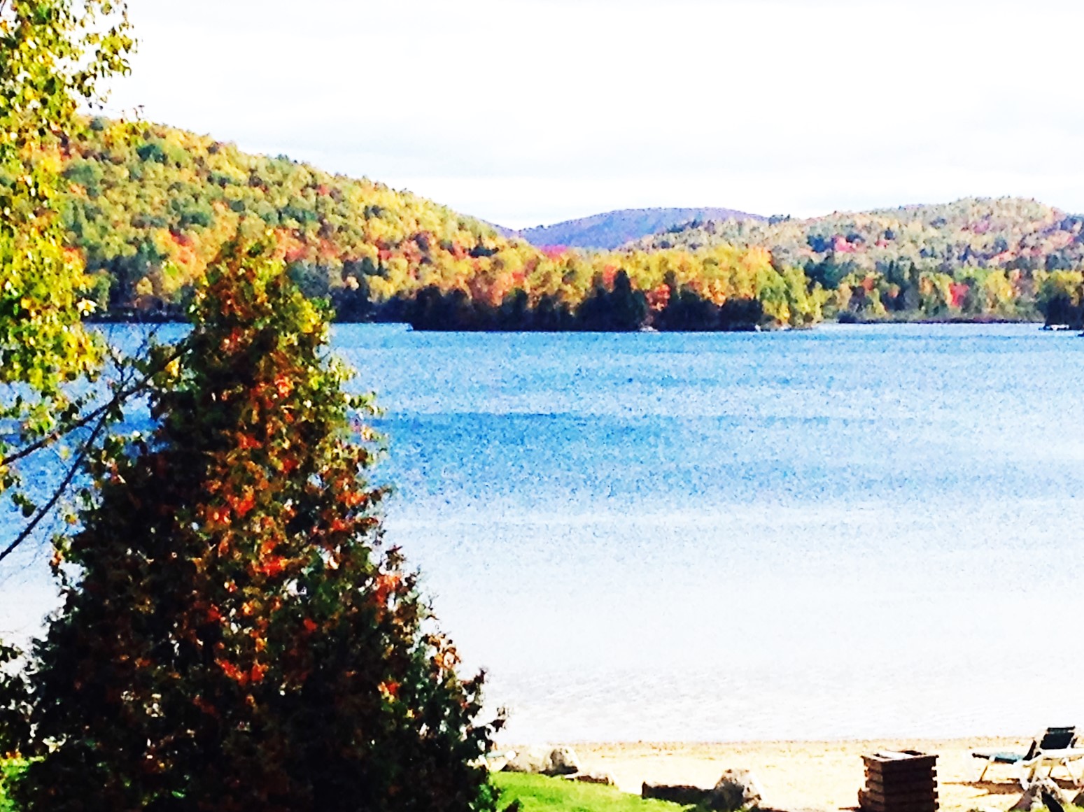 The Journey of a Bishop: 2016