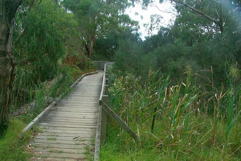 TRACKS, TRAILS AND COASTS NEAR MELBOURNE : Balcombe Creek Trail, Mt. Martha