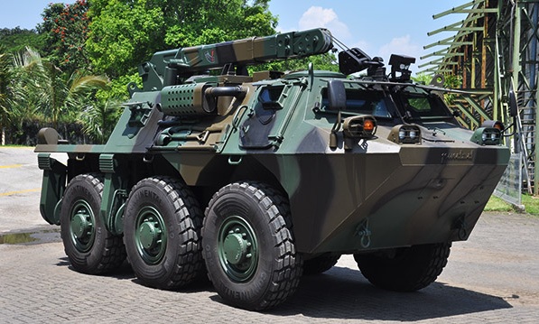 Anoa, The Endemic Animal of Sulawesi Indonesia - All About of Indonesia