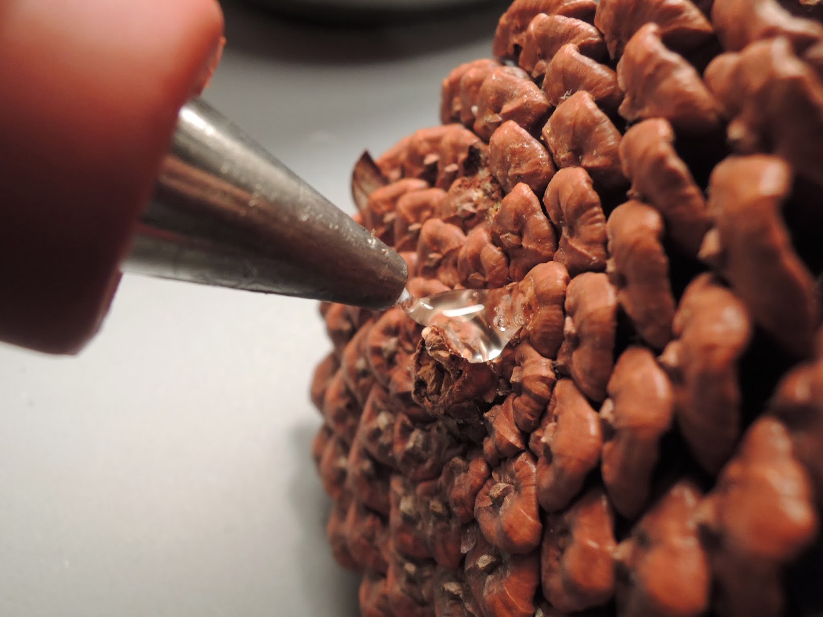 Holly Goes Lightly: DIY Pine Cone Door Hanger