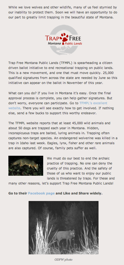 ERIPE LUPUS: BAN WOLF HOUNDING~ STOP WOLF TRAPPING ~STOP WOLF HUNTING