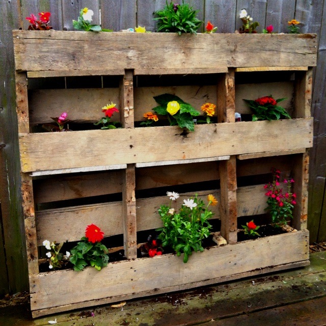 Ashley Thunder Events: {DIY Vertical Fresh Flower Pot} By: Rachel