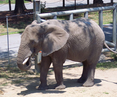 Paul Gregoire’s Norfolk Area Photos