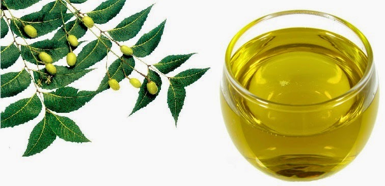 Natural beauty and health tips: Magic oil for Knee pain / Swollen ...