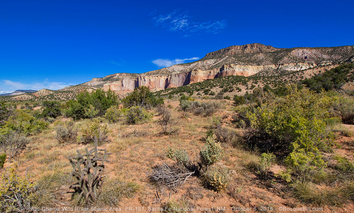 Bosque Bill's Backroads: Rio Chama Wild & Scenic River - October 2018