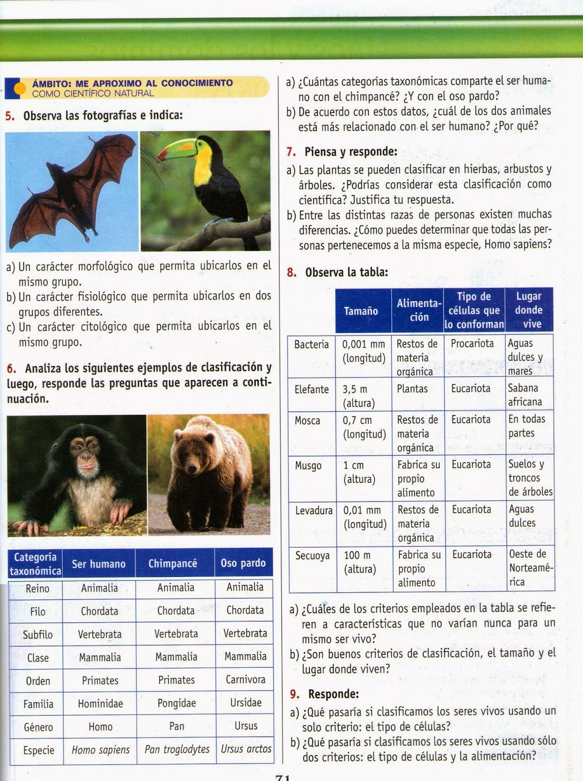 GRADO SEXTO: actividad clasificación de los seres vivos