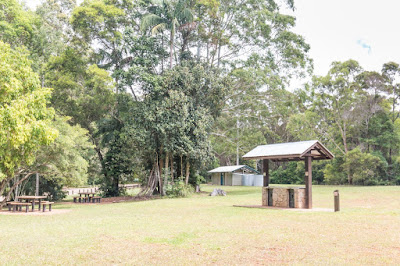 National Park Odyssey: Mount Mee Forest Trail Drive, D'Aguilar National ...